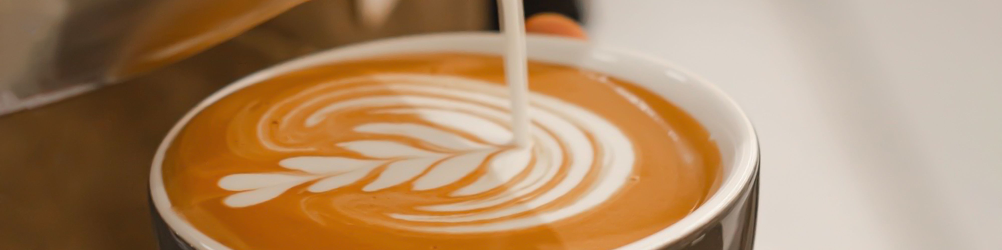Spotted Pig Cafe - Esteban Street delivery in Makati City| Food ...