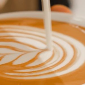 Spotted Pig Cafe - Esteban Street Menu, Price | Food Delivery Makati ...