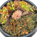 Angrydobo menu delivery | Order food online | foodpanda