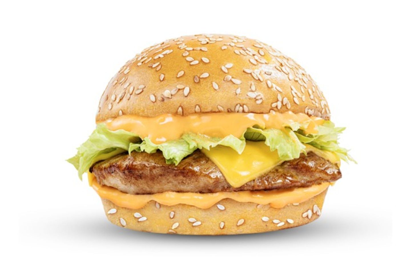 Order online from Burgerizzr restaurants | HungerStation