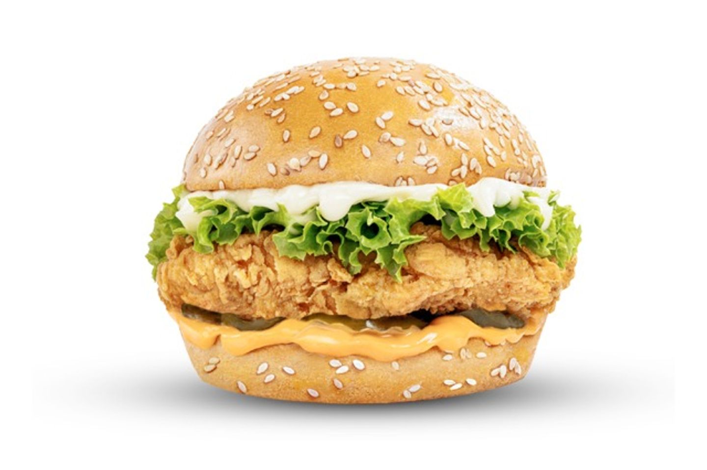 Order online from Burgerizzr restaurants | HungerStation