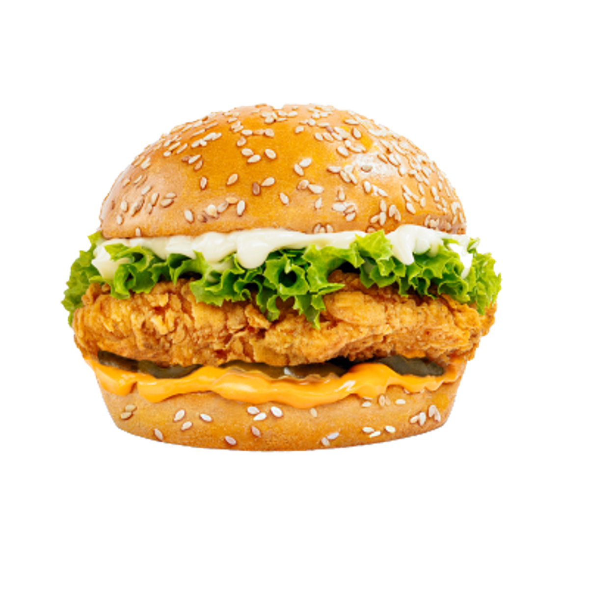 Order online from Burgerizzr restaurants | HungerStation