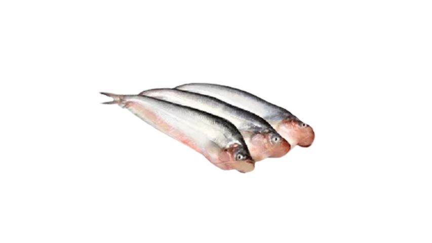Pabda Fish 500g delivery in Bangladesh | foodpanda