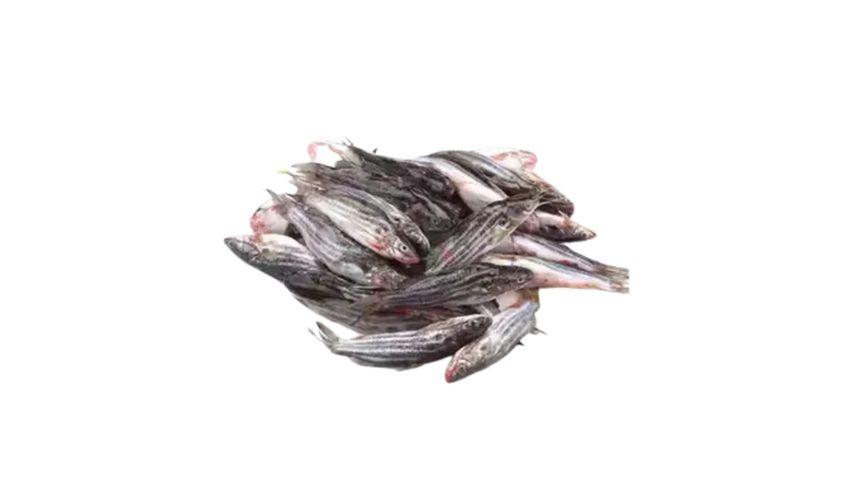 Tengra Fish Deshi 400g delivery in Bangladesh | foodpanda