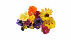 Order groceries from The Food Merchant Pavilion Bukit Jalil in Kuala Lumpur