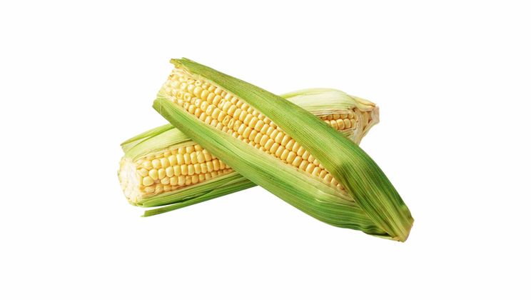 Order groceries from The Food Merchant (W City OUG) in Kuala Lumpur