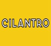 Cilantro delivery service in Egypt | Talabat