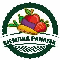 Promociones, descuentos y ofertas en Delivery - PedidosYa