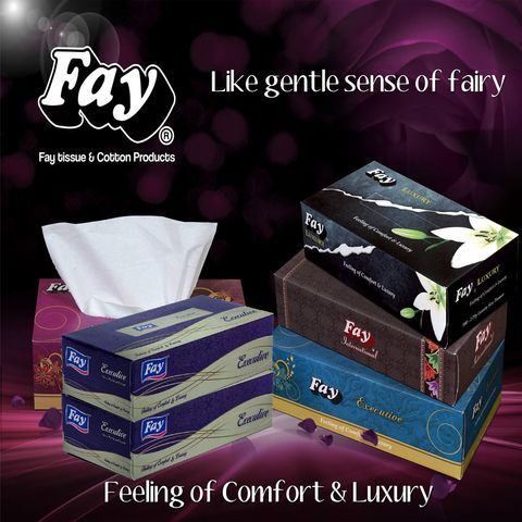 Fay Executive Tissue Box 150 Pieces delivery near you | foodpanda Pakistan