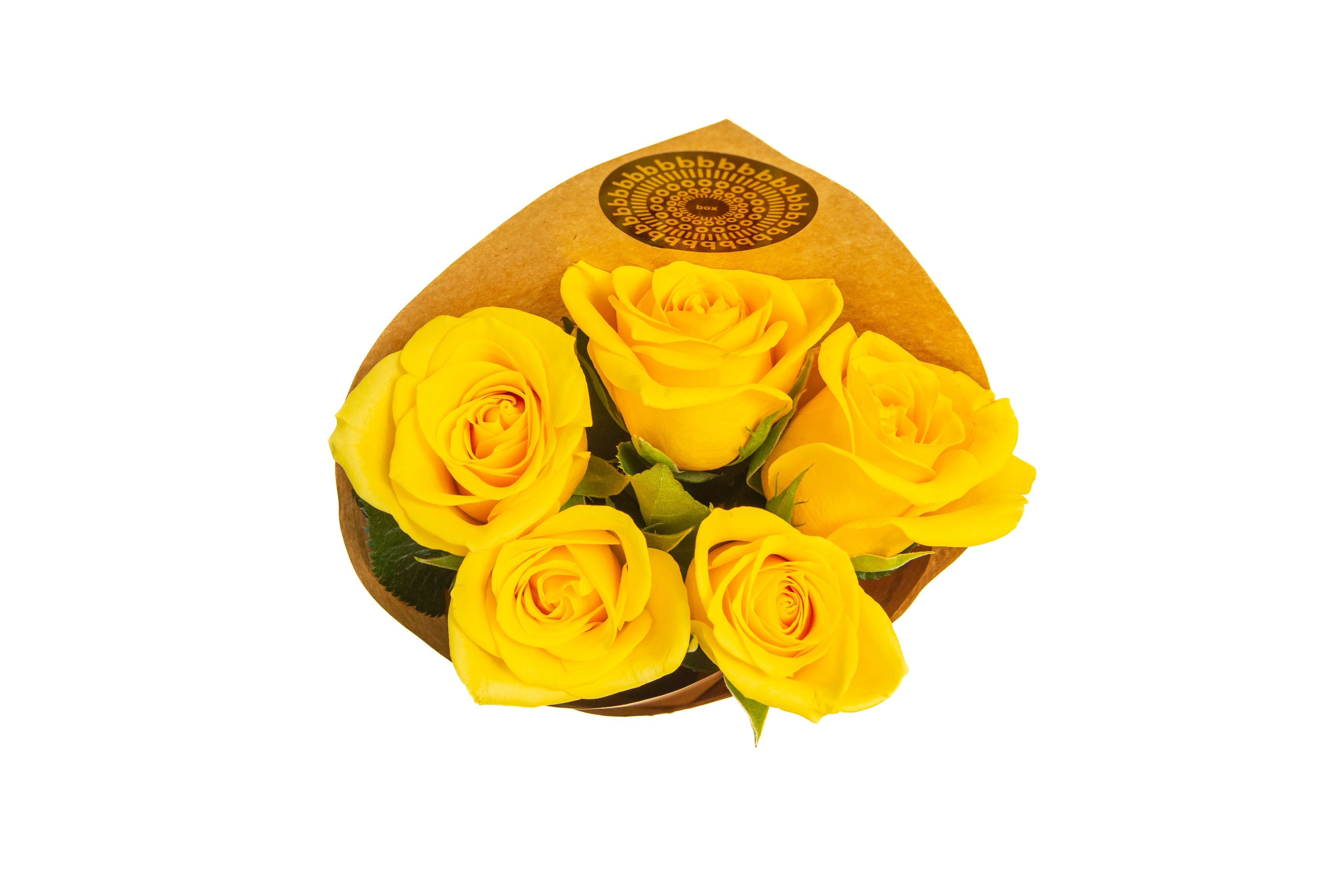 Buy Pretty Amber Bunch Online in UAE | Talabat UAE
