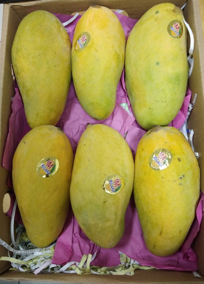 اشترِ Mango Sindhri Pakistan Box ( Approx 2 kg ) أونلاين في الإمارات ...