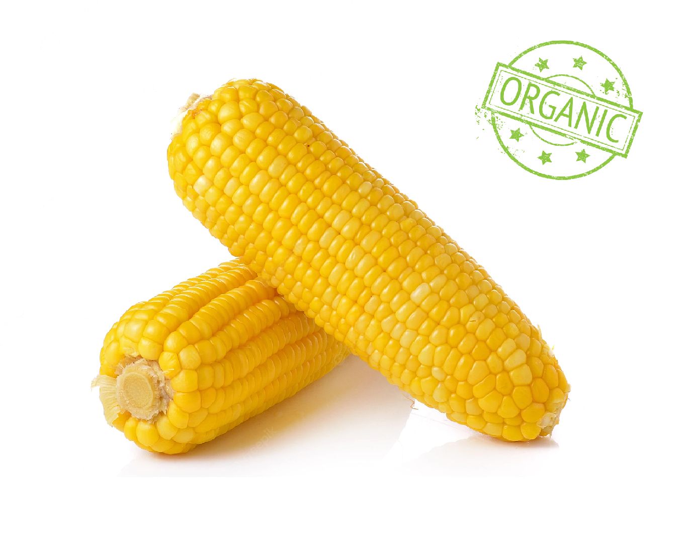Buy Organic Sweet Corn 2pcs Online in Oman | Talabat Oman