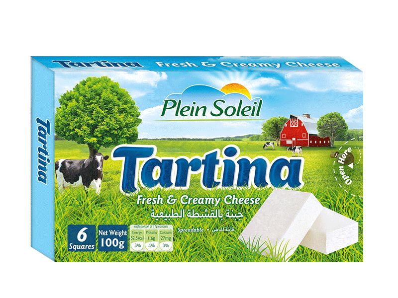 Buy Plein Soleil Tartina Square Cheese, 6 Pieces Online in UAE ...
