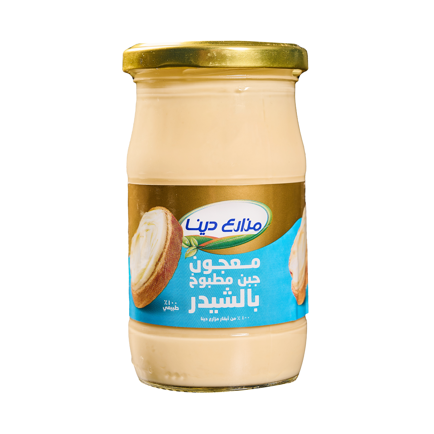 Buy Dina Farms Cheese Spread with Cheddar 275 Gm Online in Egypt ...