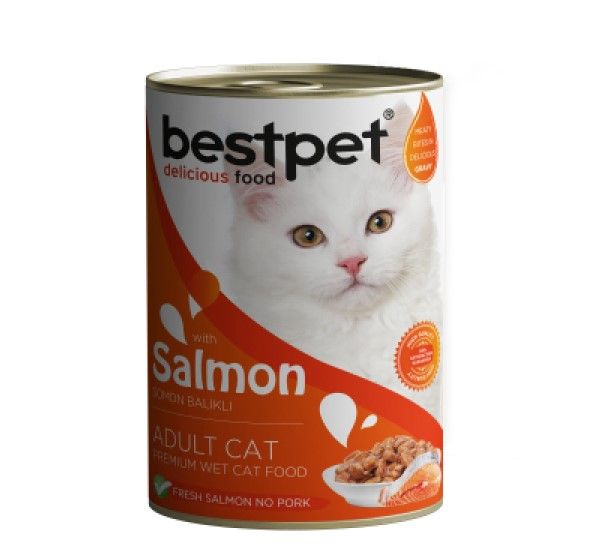 Buy Bestpet Salmon Adult Cat Wet Food 400G Online in Egypt | Talabat Egypt