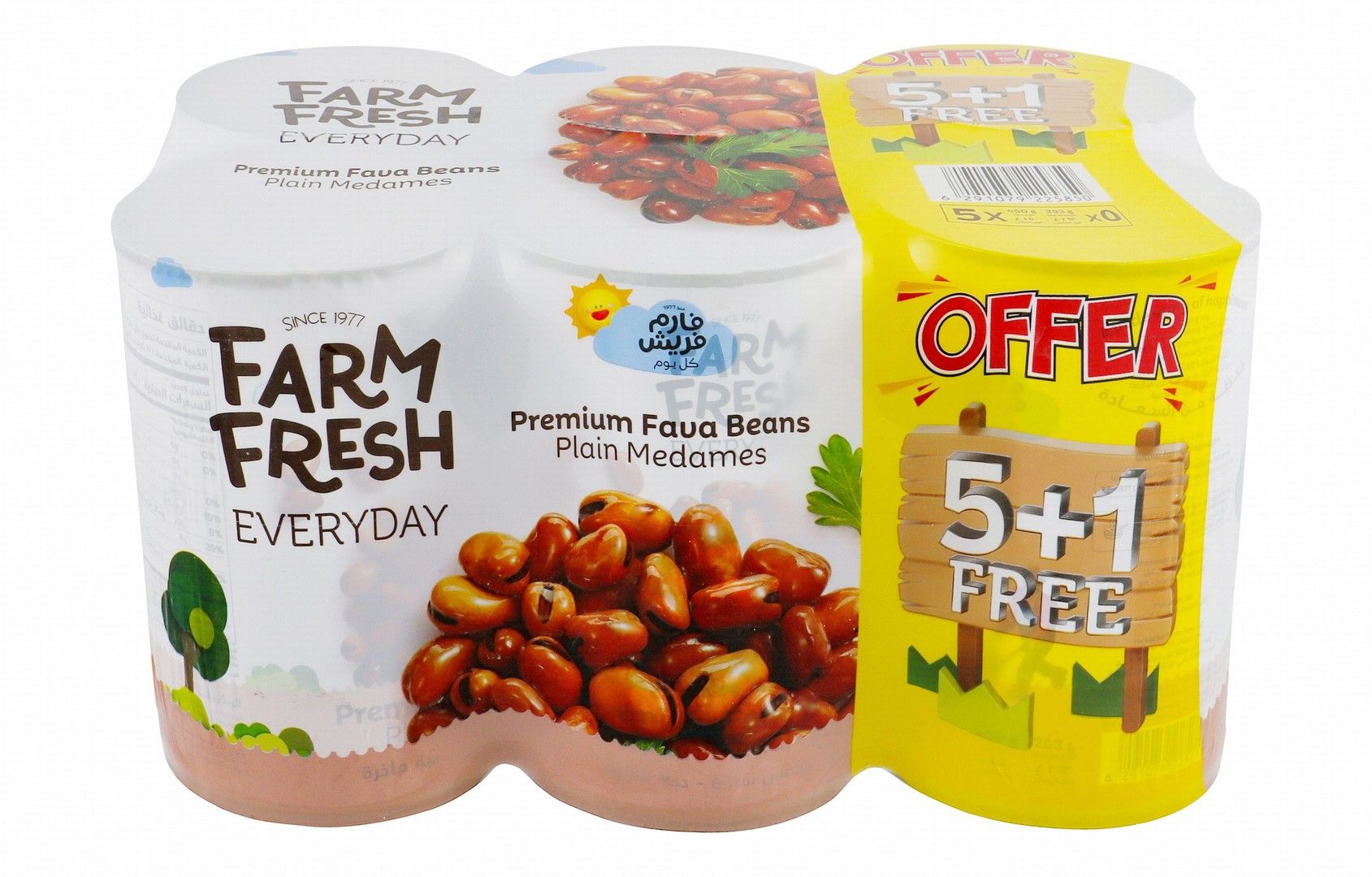Buy Farm Fresh Plain Medames Premium Fava Beans, 6x450g Online in UAE | Talabat UAE