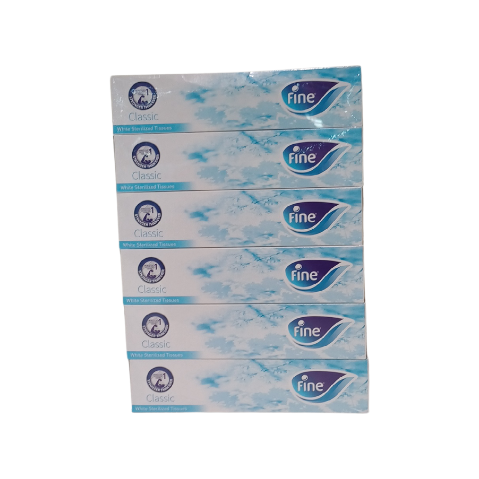 Buy Fine Classic Facial Tissues 2 Ply 6 pcs x 100 Sheets Online in ...