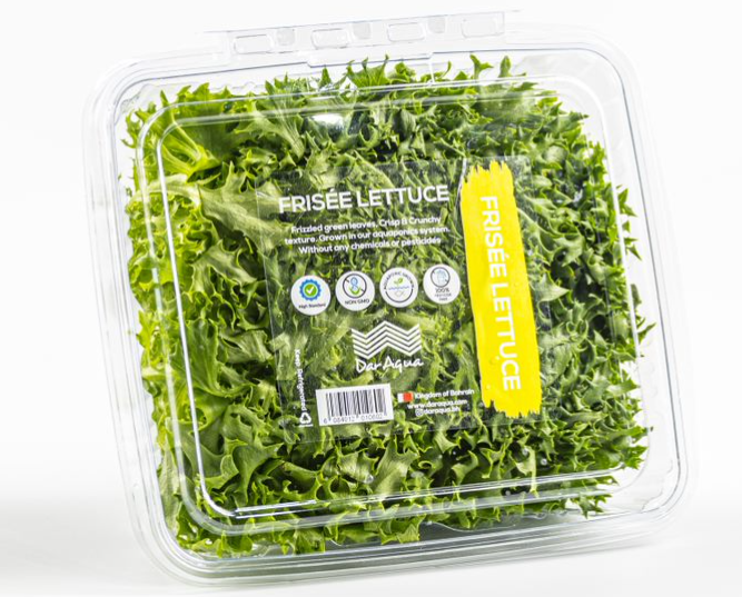 Buy Frisee Green Lettuce, 1 Pack Online in Bahrain | Talabat Bahrain