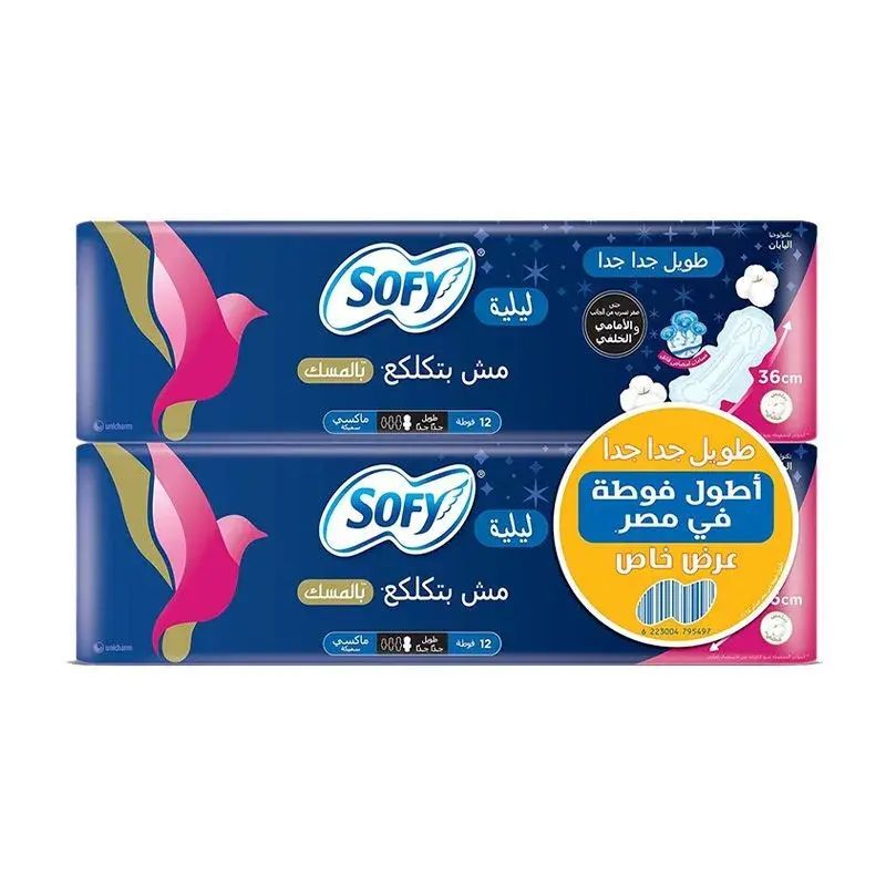 Buy Sofy Musk Very Long Sanitary Towel Pads, 2x12 Pads Online in Egypt ...