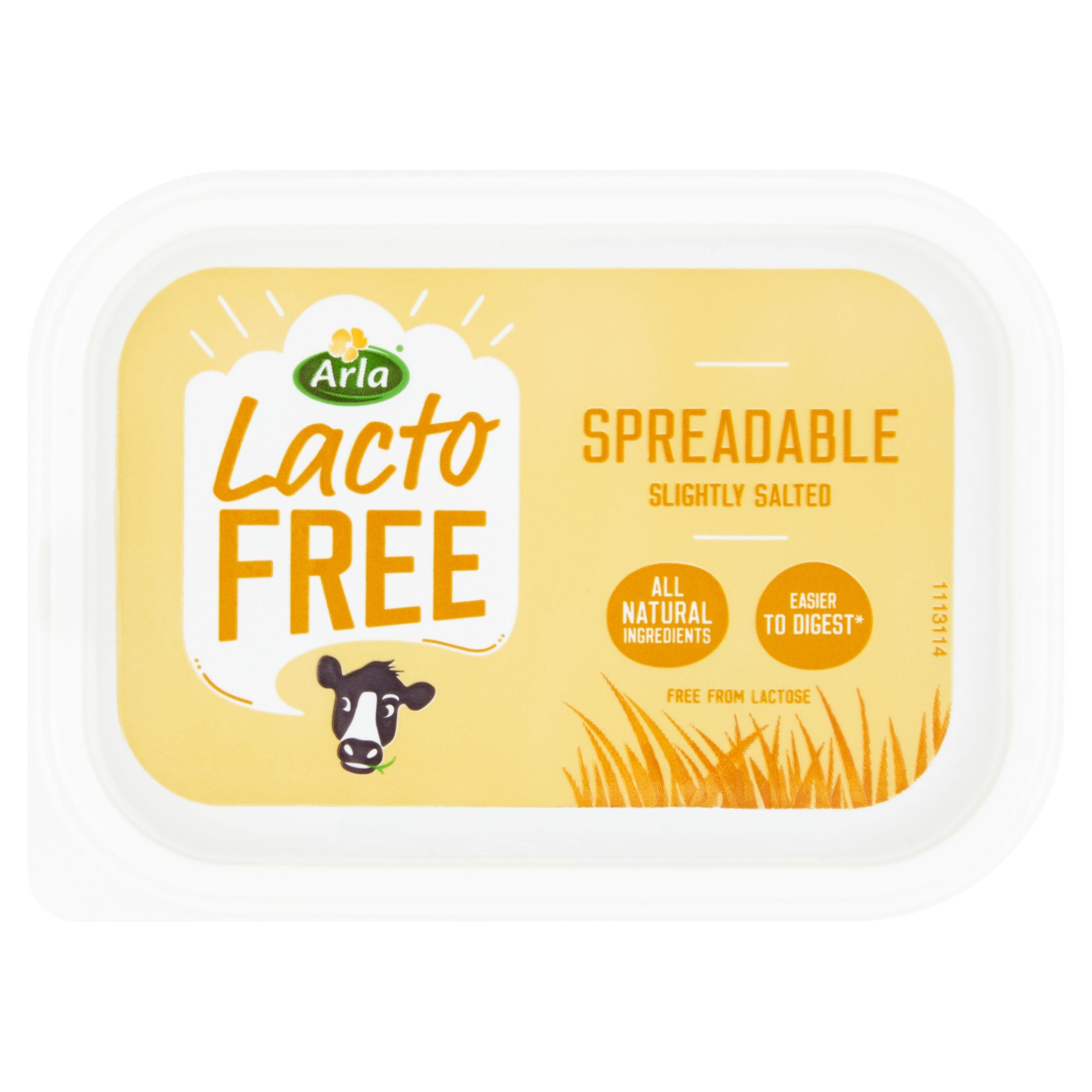 Buy Arla Lactofree Slightly Salted Spreadable Blend Of Butter ...