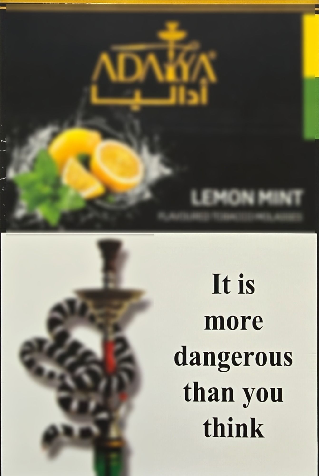 Buy Adalya Lemon Mint Tobacco Molasses, 250g Online in Kuwait | Talabat ...