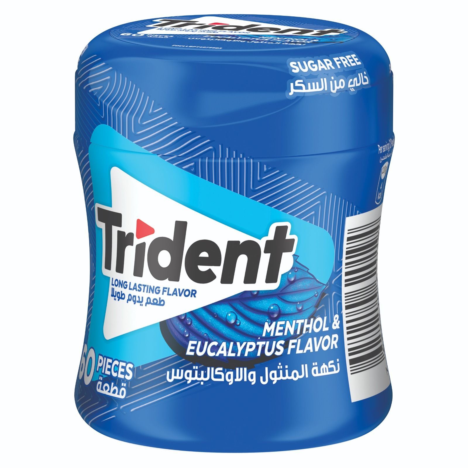 Buy Trident Menthol Chewing Gum Bottle, 60 Pieces Online in Egypt ...