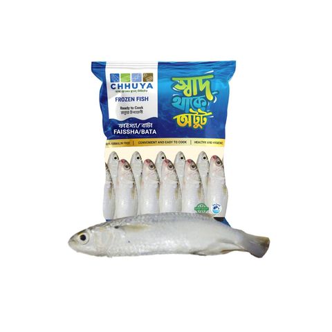 Chhuya Faissha Fish 500g delivery in Bangladesh | foodpanda