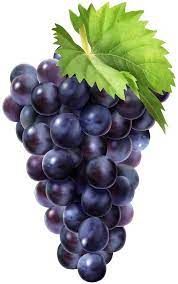 Buy Black Grapes - Lebanon, 1kg Online in Kuwait | Talabat Kuwait