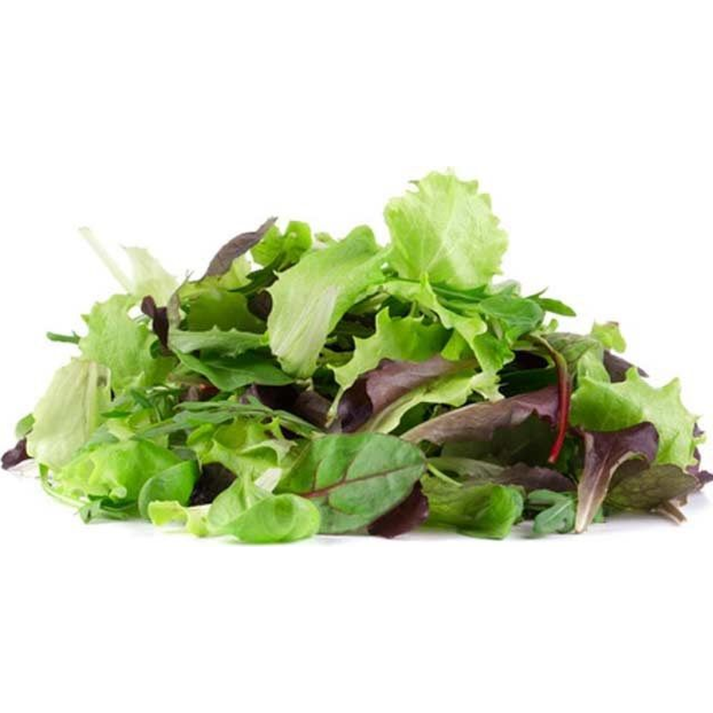 Buy Lettuce Mixed - Holland, 125g Online in Kuwait | Talabat Kuwait