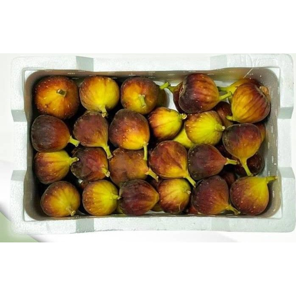 Buy Figs Jordan Fallin 700 Gm Online in Kuwait | Talabat Kuwait