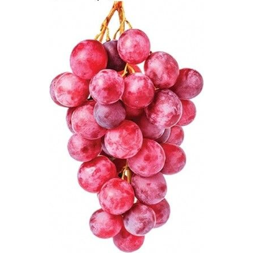 Buy Red Globe Grapes - Lebanon, 1kg Online in Kuwait | Talabat Kuwait