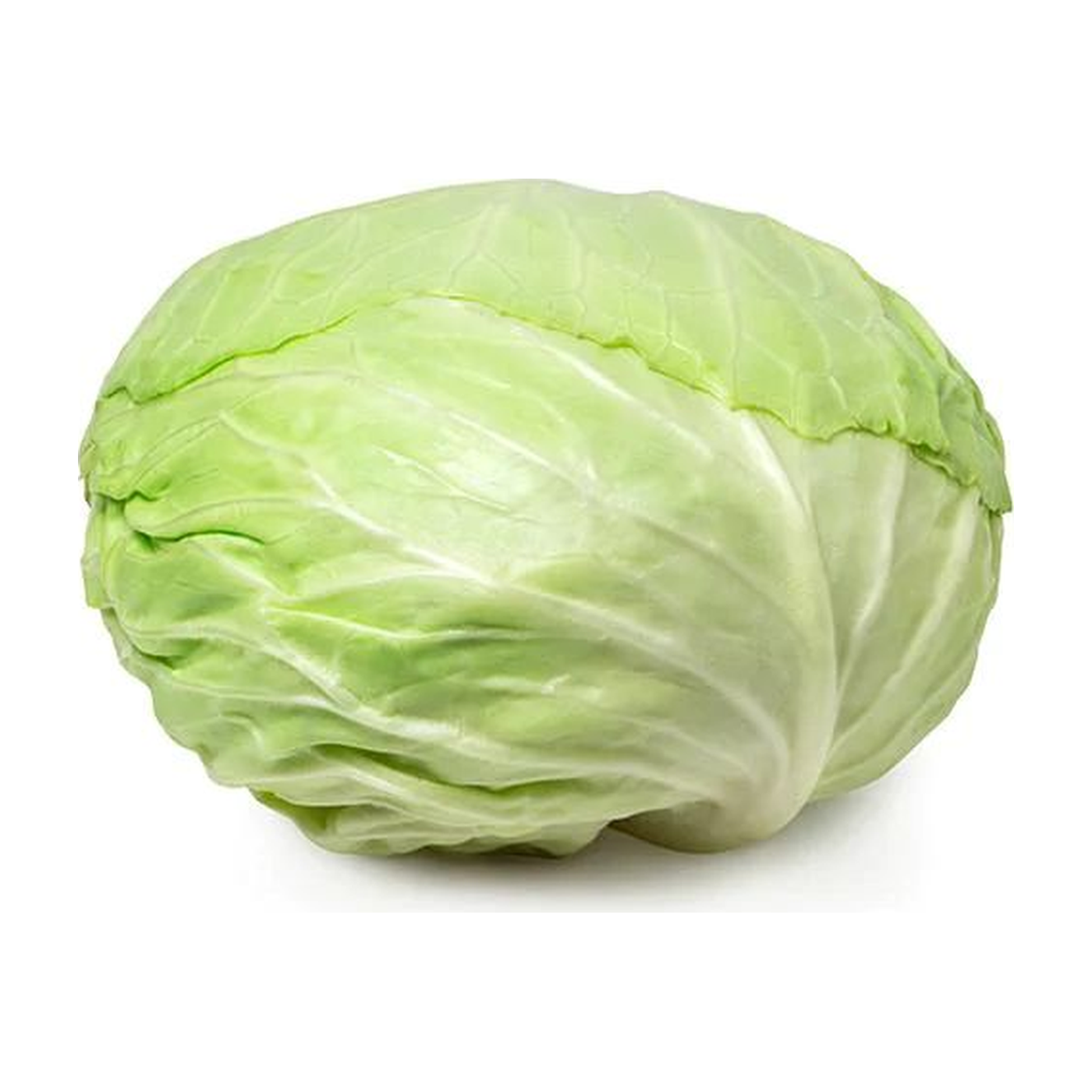 Buy Flat Cabbage Lebanon, 1 Piece (2 to 3kg) Online in UAE | Talabat UAE