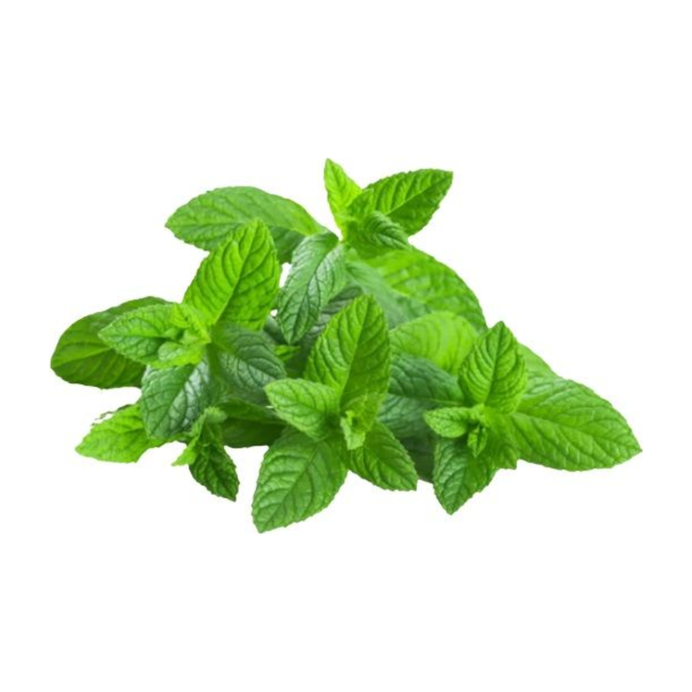 Buy Mint Bunch - UAE, 70-80g Online in UAE | Talabat UAE