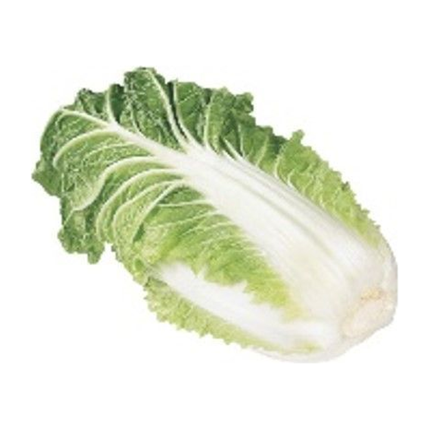 Buy Chinese Cabbage - Iran, 1 Piece (1-1.5kg) Online in UAE | Talabat UAE