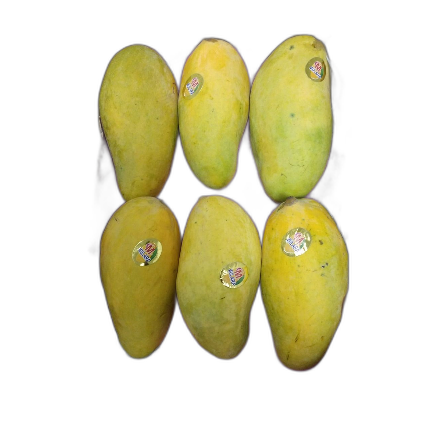 Buy Mango Sindhri - Pakistan, 1 Box (Approx. 2kg) Online in UAE ...