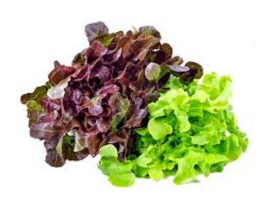 Buy Italian Lettuce Mix Hydroponics, 100g Online in Oman | Talabat Oman