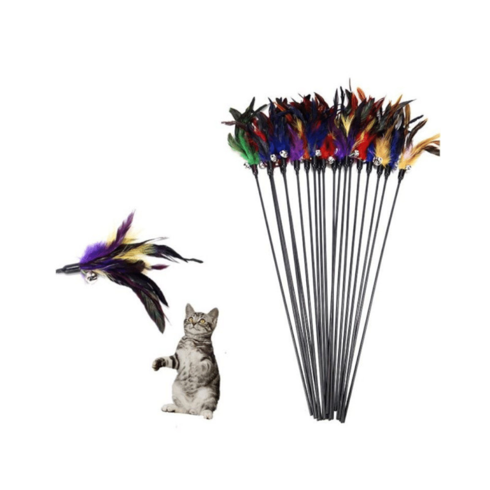 Buy Pet Store Plastic Cat Teaser Toy Online in Kuwait | Talabat Kuwait