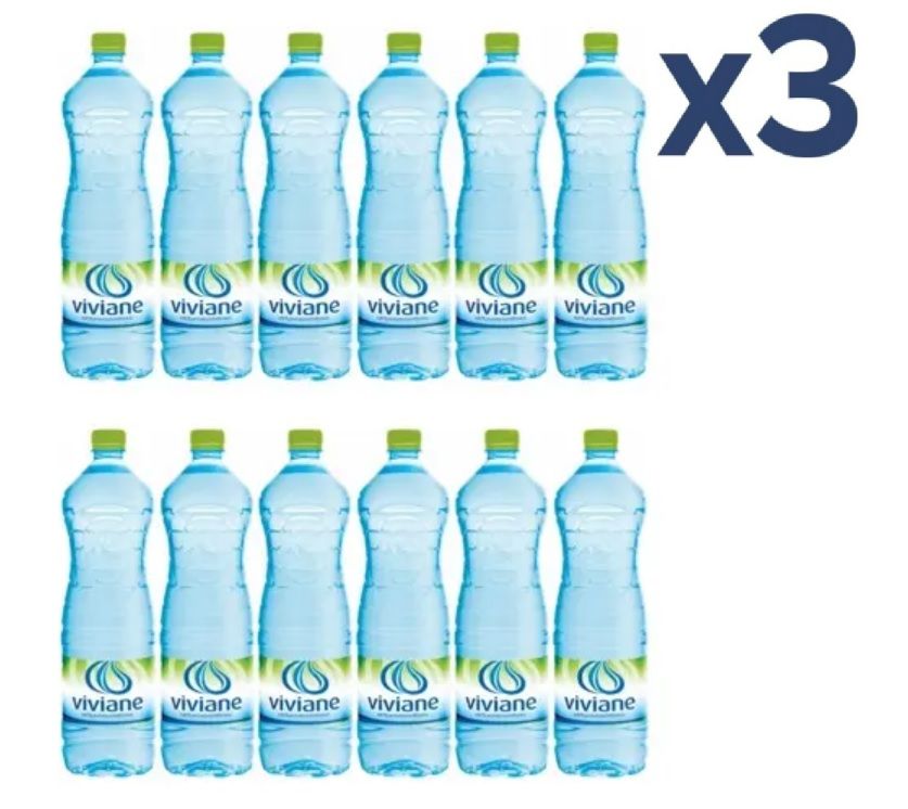 Buy Al-Juneidi Viviane Water 600 ml 12 pcs - 3pcs Online in Jordan ...