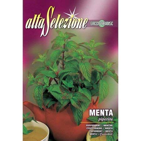 Buy Alta Herb Peppermint Menta Piperita Seeds Online in Oman | Talabat Oman