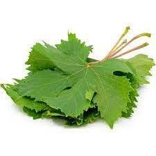 Buy Fresh Grape Leaves - Jordan, 200g Online in Kuwait | Talabat Kuwait