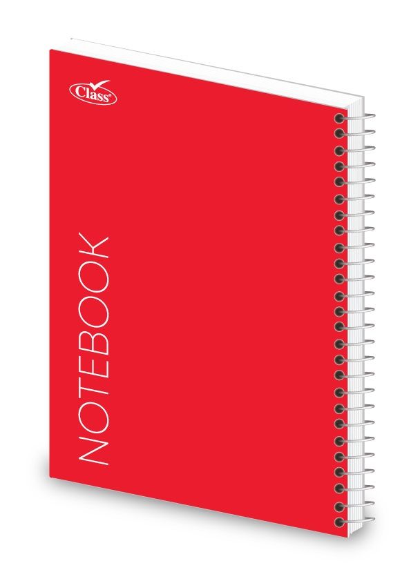 Buy Class PP Colored Spiral Notebook, 60 Sheets, A4 Grey Online in ...