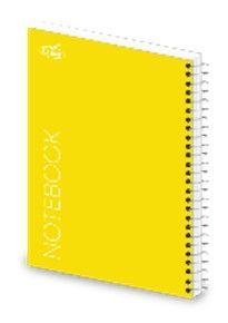 Buy Class PP Colored Spiral Notebook, 80 Sheets, A4 Light Black Online ...