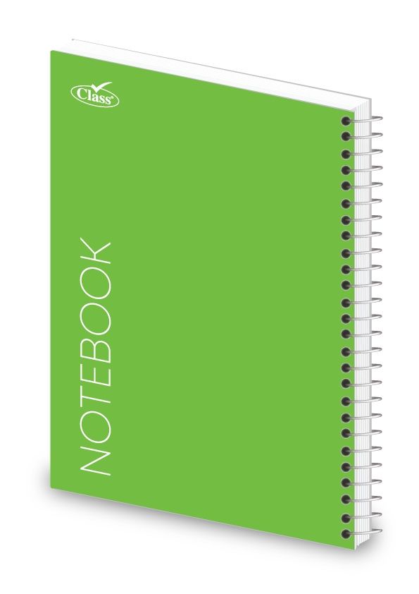 Buy Class PP Colored Spiral Notebook A4 Light Green, 100 Sheets Online ...