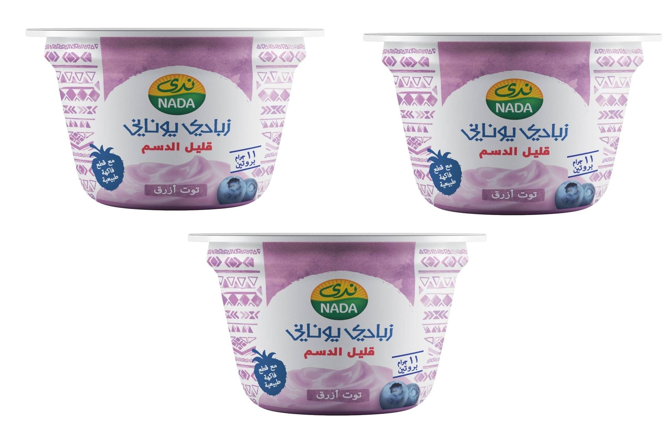 Buy Nada Greek Yoghurt Blueberry Low Fat 160 g X3 Online in Kuwait ...