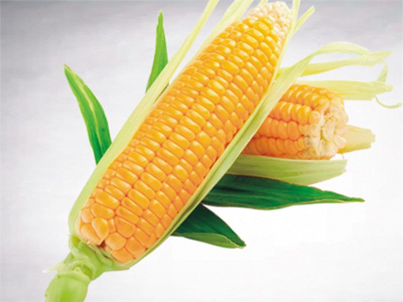 Al Razzan Refreshment delivery service in UAE | Talabat