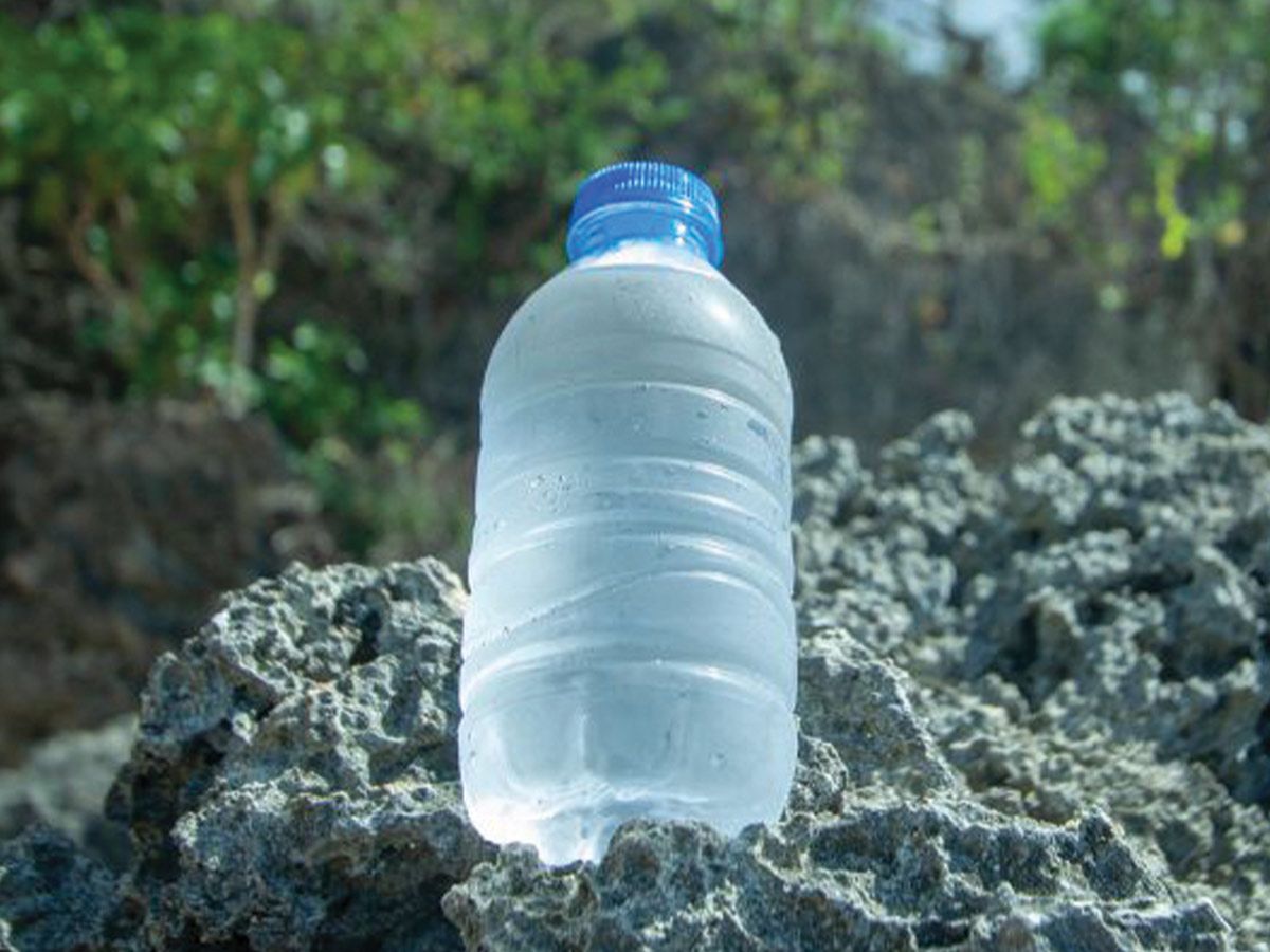 Healthy Corn delivery service in Qatar | Talabat