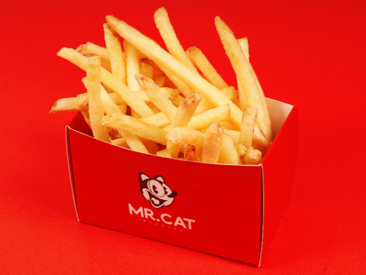 Mr. Cat delivery service in Kuwait | Talabat