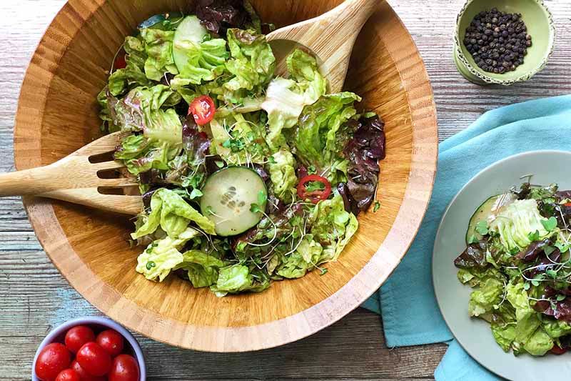 Pastaweesy delivery service in Egypt | Talabat