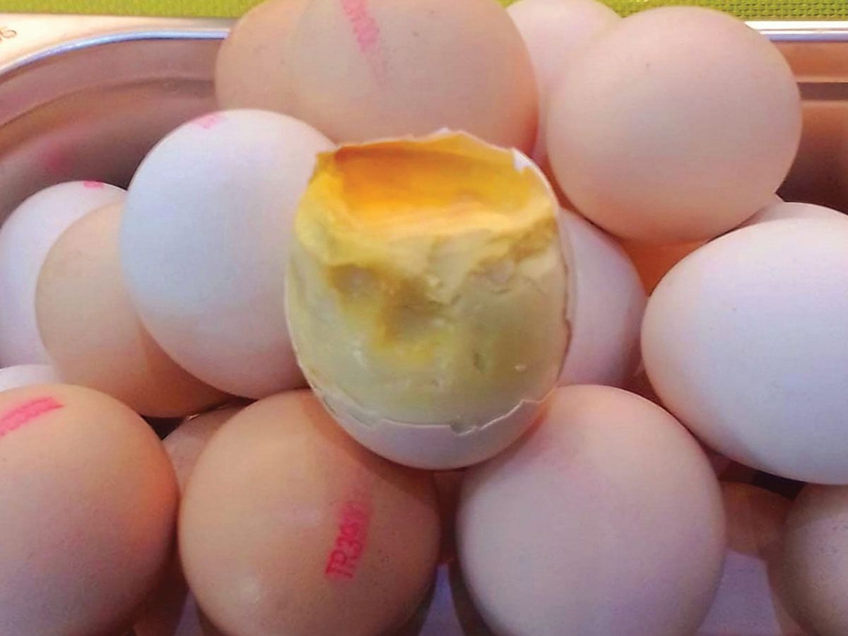 Eathans Lomi Restaurant & Bakery delivery service in UAE | Talabat