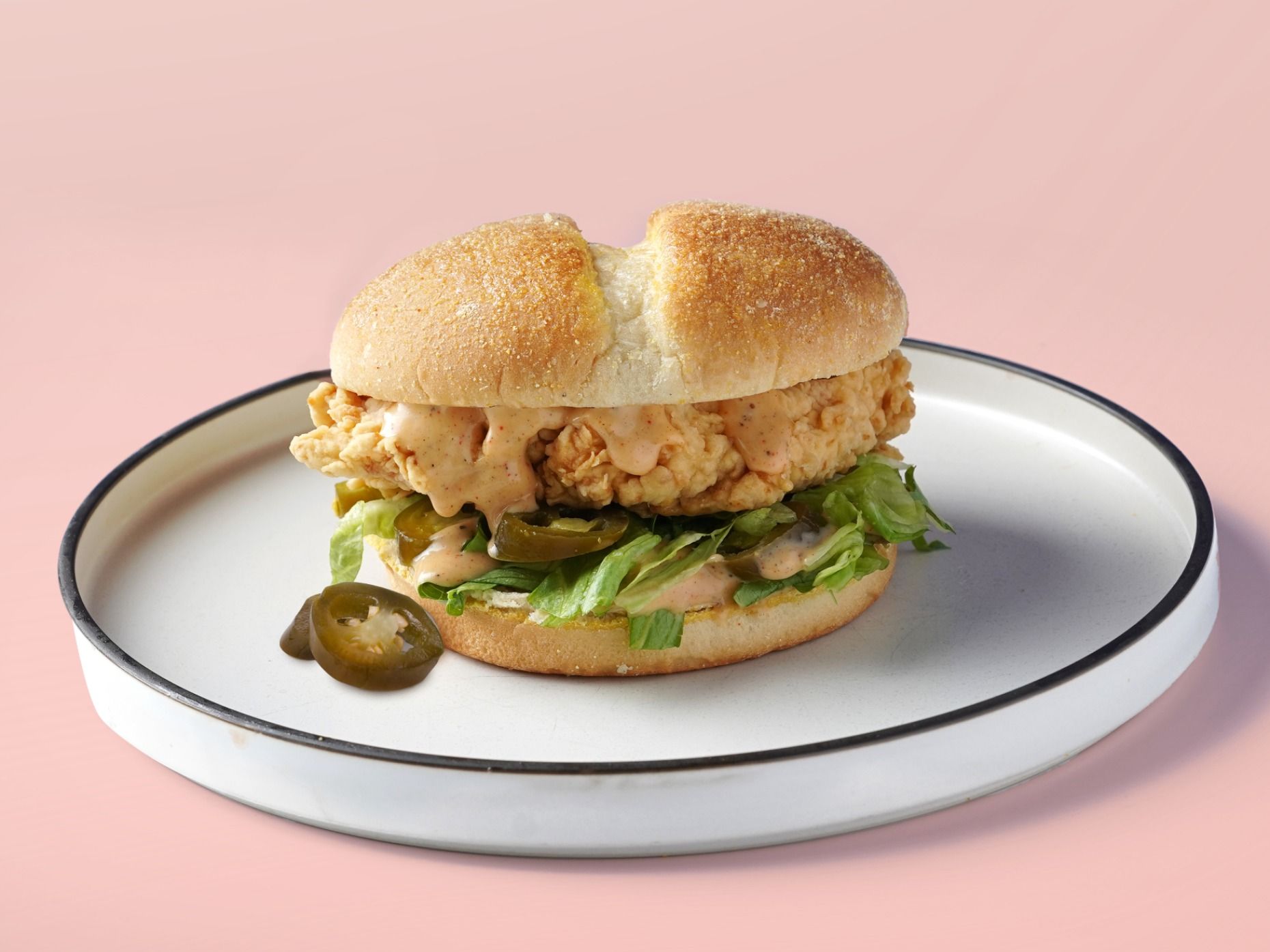 Alzain Food Express delivery service in Oman | Talabat